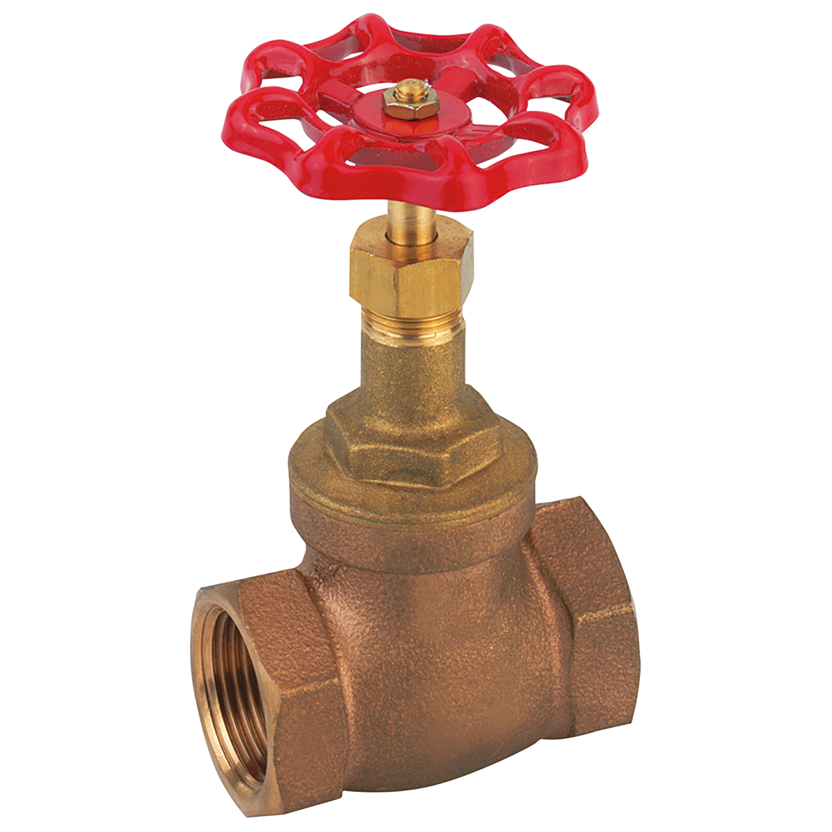 FT Pro 1.1/4" BSP Female Gunmetal Globe Valve GBV-114 | FluidAirFittings