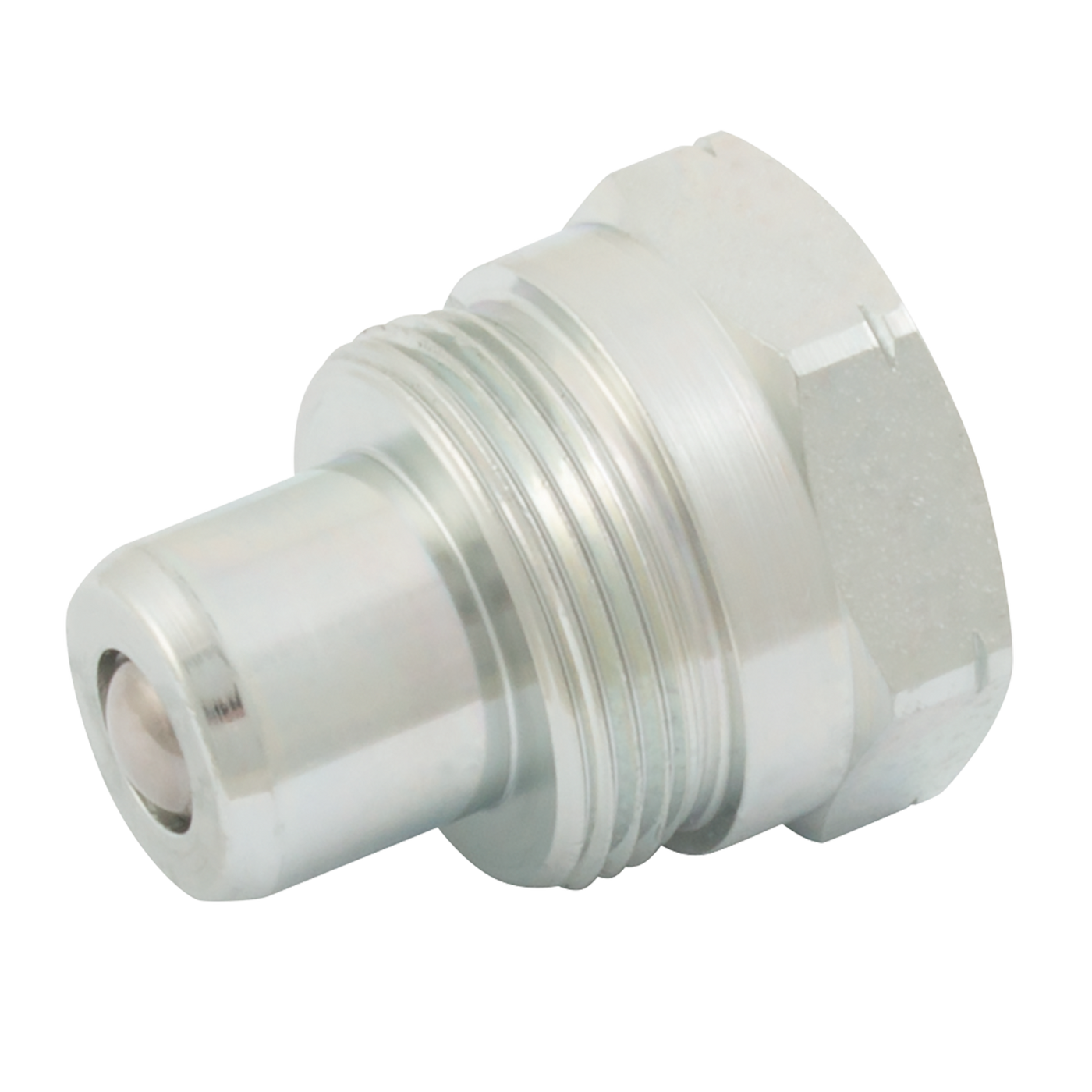 dnp 1/4" NPT Female Hydraulic Quick Release Plug PVS1.1006.013