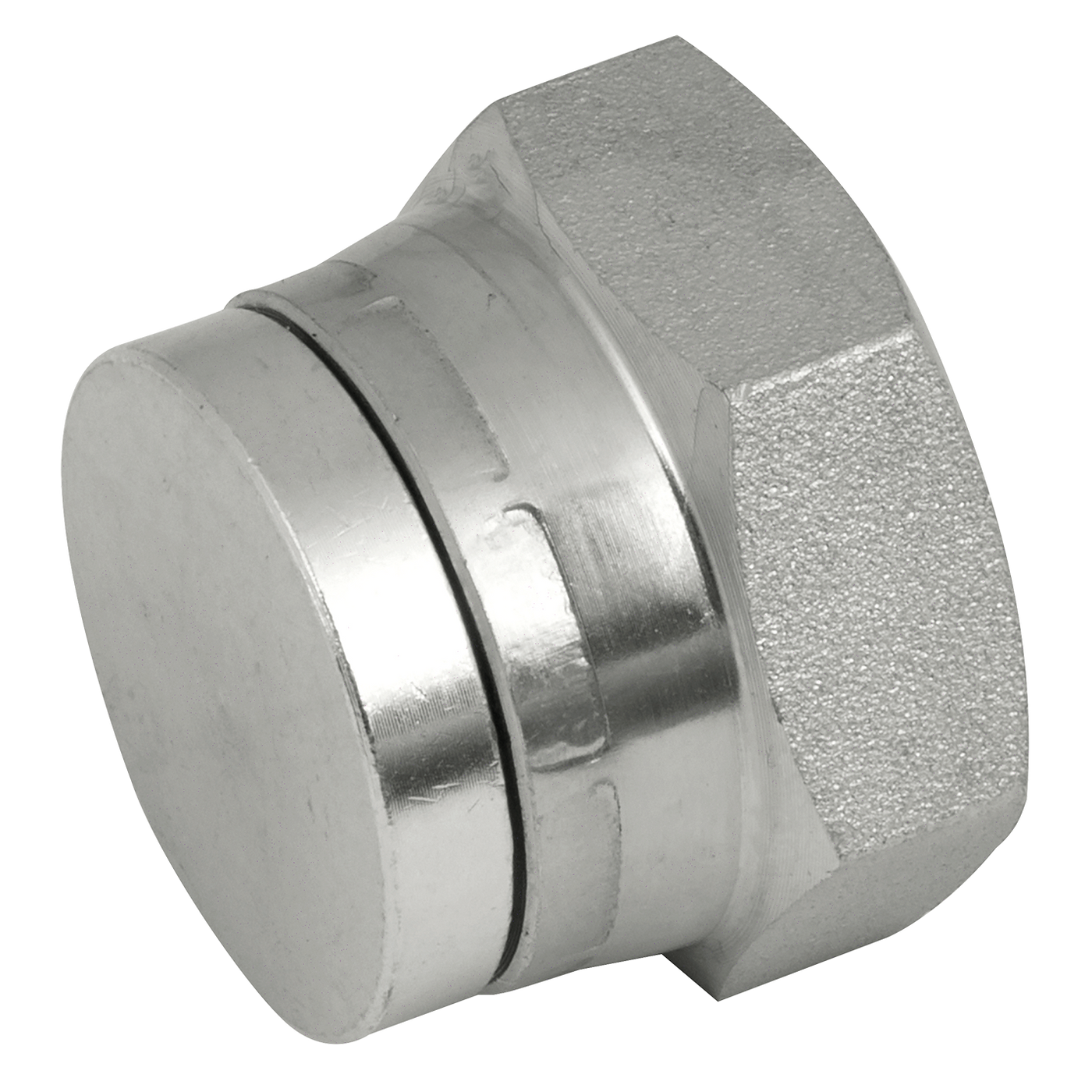 Brennan 2" BSP Swivel Steel Blanking Cap 60-6005-32